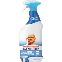 Meister Proper Badreiniger Spray