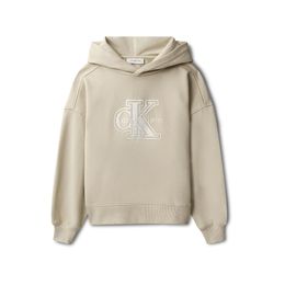 Calvin Klein Jeans Sweatshirt M&auml;dchen Gr&ouml;&szlig;e 152 taupe / silber / wei&szlig;
