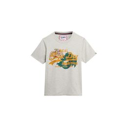 Superdry & Co T-Shirt 'Tokyo' Damen Gr&ouml;&szlig;e S/M schoko / goldgelb / hellgrau / tanne