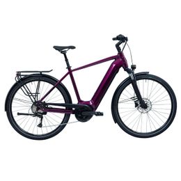 Hercules Futura I-8 Performance Line 625Wh - 53 cm - E-Bike Trekking - ultimacy bordeaux-glossy