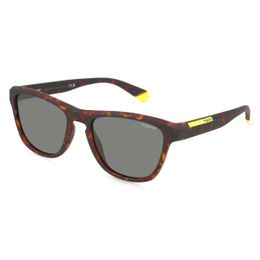 Polaroid PLD 2168/S | Herren-Sonnenbrille | Fassung: Vollrand, Panto, Kunststoff, Braun Matt | Glasfarbe: Grau