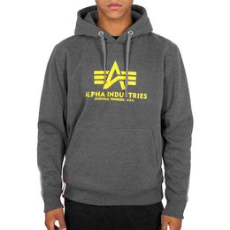 Alpha Industries Sweatshirt 'Basic Logo' male Grey size S