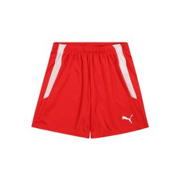 Puma Sportshorts 'TeamLiga' Jungen Gr&ouml;&szlig;e 152 rot / wei&szlig;