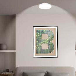 Briloner LED-Deckenleuchte Kaida, wei&szlig;, &Oslash; 30 cm, EEK A, 4.000 K
