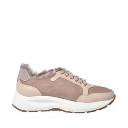Baldinini Low-Top Sneaker - SNEAKER Baldinini - Gr. 41 (EU) - in Beige - f&uuml;r Damen
