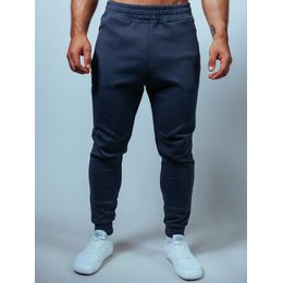 Lifters Workout Pants 'Performance Gym Jogger' male Grey size XXL