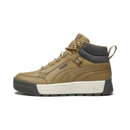 Puma Sneakers 'Tarrenz SB III' male Beige size 35,5