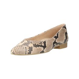 Paul Green Ballerina Damen Gr&ouml;&szlig;e 40 beige / dunkelbraun