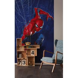 Kindertapete Komar "Marvel Spider-Man Spider Web", blau (blau,rot), B:150m H:250m, Vlies, Tapeten