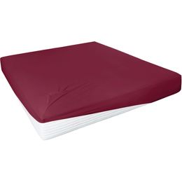 Spannbettlaken Primera "Elasthan-Feinjersey", rot (bordeaux), 1 Stk., Jersey-Elasthan, 180-200x200-220 30, Jersey-Elasthan, Obermaterial: 95% Baumwolle, 5% Elasthan, Bettlaken, PREMIUM, aus 95% gekämmter Baumwolle und 5% Elasthan, bis 28 cm Höhe