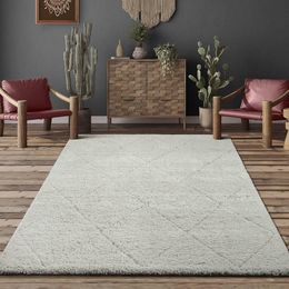 Teppich the carpet "Bahar Shaggy", beige (creme), B:200cm H:30mm L:290cm, Polypropylen, Teppiche