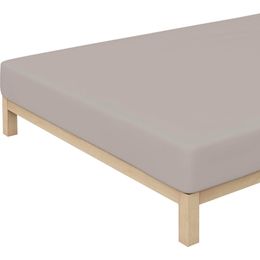 Spannbettlaken Schlafgut "Premium", beige (sand mid), 1 Stk., Mako-Zwirn-Jersey, 90-100x190-220 30, Mako-Zwirn-Jersey, Obermaterial: 95% Baumwolle, 5% Elasthan, Bettlaken, Spannbettlaken, Zero Waste Verpackung, PREMIUM Qualit&auml;t