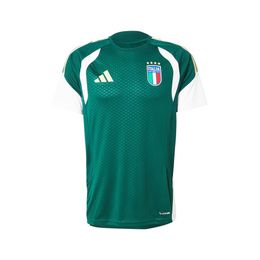 adidas Performance Trikot 'FIGC TR JSY' Herren Größe S grün