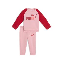 Jogginganzug Puma "Minicats Essentials Raglan Crew Set Kinder", Jungen, Gr. 92, rosa (pinkscape pink), Obermaterial: 32% Polyester, 68% Baumwolle; Rippe: 97% Baumwolle, 3% Elasthan, Sportanzüge