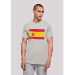 T-Shirt F4NT4STIC "Spanien Flagge Spain distressed", Herren, Gr. M, grau (erdgrau), Obermaterial: 100% Baumwolle, regular fit, Rundhals, ohne Bündchen, Shirts, Print