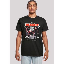 T-Shirt F4NT4STIC "Beastie Boys", Herren, Gr. L, schwarz, Obermaterial: 100% Baumwolle, regular fit, Rundhals, ohne Bündchen, Shirts, Streetwear Fashion