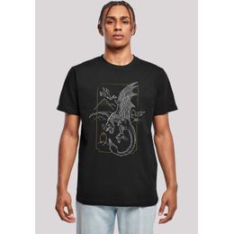 T-Shirt F4NT4STIC "Harry Potter Dragon Line Art", Herren, Gr. XL, schwarz, Obermaterial: 100% Baumwolle, regular fit, Rundhals, ohne Bündchen, Shirts, Print