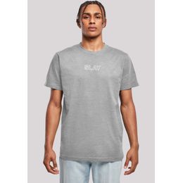 T-Shirt F4NT4STIC "Slay", Damen, Gr. M, grau (erdgrau), Obermaterial: 100% Baumwolle, regular fit, Rundhals, ohne B&uuml;ndchen, Shirts T-Shirt, Jugendwort 2022, slang