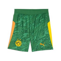Sporthose Puma "Borussia Dortmund 25/26 Torwartshorts Herren", Damen, Gr. XL, Normalgrößen, archive grün intense orange, Obermaterial: 100% Polyester, bedruckt, regular fit, Hosen