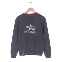 Alpha Industries Sweater Herren Größe M Second Hand grau