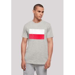 T-Shirt F4NT4STIC "Polen Flagge Poland distressed", Damen, Gr. M, grau (erdgrau), Obermaterial: 100% Baumwolle, regular fit, Rundhals, ohne B&uuml;ndchen, Shirts T-Shirt, Print