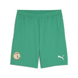 Sporthose Puma "Senegal 2025 Shorts Herren", Damen, Gr. L, Normalgrößen, grün (sport grün weiß), Obermaterial: 100% Polyester, colorblocking, regular fit, Hosen