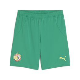 Sporthose Puma "Senegal 2025 Shorts Herren", Damen, Gr. S, Normalgr&ouml;&szlig;en, gr&uuml;n (sport gr&uuml;n electric lime), Obermaterial: 100% Polyester, colorblocking, regular fit, Hosen Sporthose