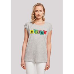 T-Shirt F4NT4STIC "Shirt 'Big Bang Theory Bazinga'", Damen, Gr. XL, grau (erdgrau), Obermaterial: 100% Baumwolle, regular fit, Rundhals, ohne B&uuml;ndchen, Shirts T-Shirt, Print