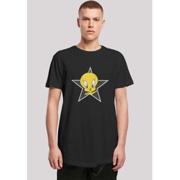 T-Shirt F4NT4STIC "Looney Tunes Tweety Pie Star", Herren, Gr. M, schwarz, Obermaterial: 100% Baumwolle, regular fit, Rundhals, ohne Bündchen, Shirts, Print