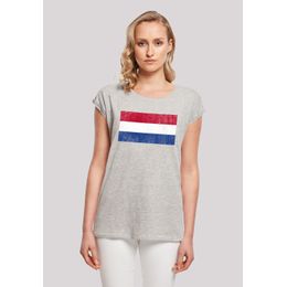 T-Shirt F4NT4STIC "Netherlands NIederlande Holland Flagge distressed", Damen, Gr. 4XL, grau (erdgrau), Obermaterial: 100% Baumwolle, regular fit, Rundhals, ohne B&uuml;ndchen, Shirts T-Shirt, Print