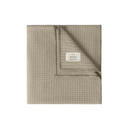 Cradle Studio Blankets male Beige size 150cm x 210cm