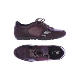 Geox Sneaker Damen Größe 38 Second Hand bordeaux