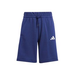 adidas Sportswear Workout Pants boy Blue size 176