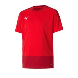Puma Performance Shirt 'TeamGOAL 23' boy Red size 116