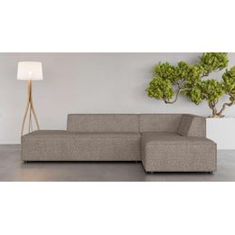 Ecksofa OTTO HOME "Ecksofa Cavan mit Ottomane links oder rechts bestellbar", grau (taupe), B:270cm H:72cm T:180cm, 100% Polyester, Sofas, Ecksofa, L-Form mit Wellenunterfederung, Ma&szlig;e B/T/H: 270/180/72 cm