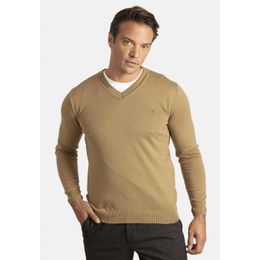 Strickpullover SIR RAYMOND TAILOR "Los Angeles", Herren, Gr. L, braun (hellbraun), 100% Baumwolle, unifarben, normal, V-Ausschnitt, Pullover, mit klassischem V-Ausschnitt