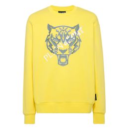 Sweatshirt Plein Sport "Tiger", Jungen, Gr. M, gelb (09, gelb), Obermaterial: 88% Baumwolle, 12% Polyester, Sweatshirts Sweatshirt