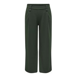 Only Carmakoma Pleat-Front Pants 'CARSania' female Green size 46/48