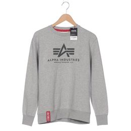Alpha Industries Sweater Herren Größe M Second Hand grau