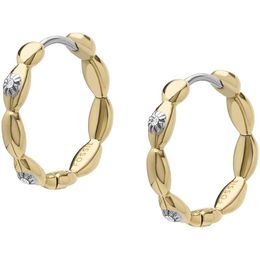 Fossil Earrings 'Sutton' female Gold size One Size