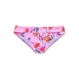 Sunseeker Bikini Bottoms female Pink size 36
