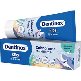 Dentinox Zahnpasta Kids Mundflora+, 2-6 Jahre