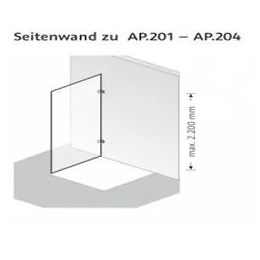 HSK Atelier Plan Pur Seitenwand zu AP.201 - AP.204, Anschlag links, Gr&ouml;&szlig;e: bis 100,0 cm x 200,0 cm, AP.279-L-90-120, Duschkabine: edelstahl look: Echtglas TwinSeal