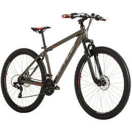 WYLD WYLD Mountainbike Hardtail 29'' Sharp Scheibenbremse platin-grau 21 Gänge