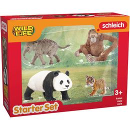 Schleich Spielwelt »WILD LIFE, Asien Starter-Set (42736)« bunt