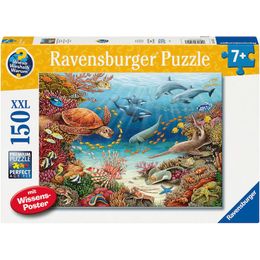 Ravensburger Puzzle »Wieso? Weshalb? Warum? Meerestiere am Korallenriff« Made in Germany bunt