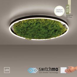 JUST LIGHT Deckenleuchte »GREEN RITU« LED-Board 1 Stk. Warmweiß moos