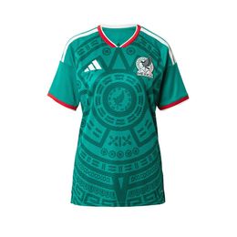 adidas Performance Trikot 'Mexiko 26' Damen Gr&ouml;&szlig;e XXL gr&uuml;n / dunkelgr&uuml;n / rot / wei&szlig;