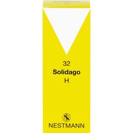 Nestmann Solidago H 32 Tropfen 100 ml