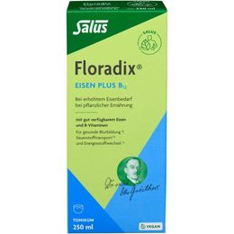 Salus Floradix Eisen plus B12 vegan Tonikum 250 ml